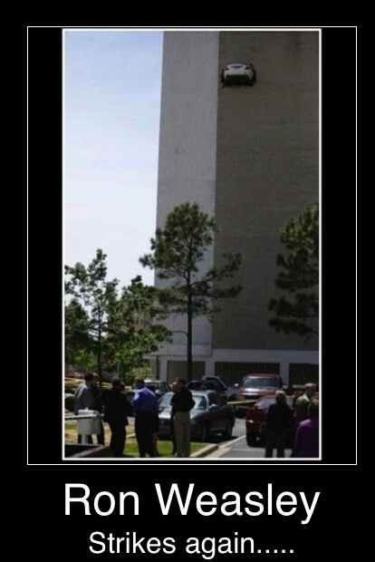 Damn it Ron! - Meme subido por zach91weaver :) Memedroid
