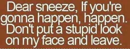 sneeze sthap - Meme subido por Pikachu_Acid :) Memedroid