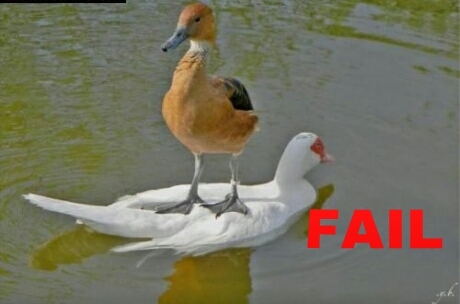 gros fail - Meme by celine37 :) Memedroid