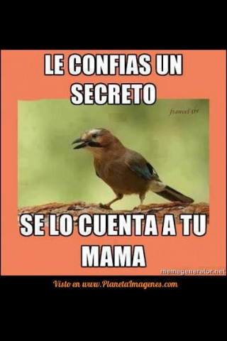 Pájaro maricon :c - Meme by Cruel :) Memedroid