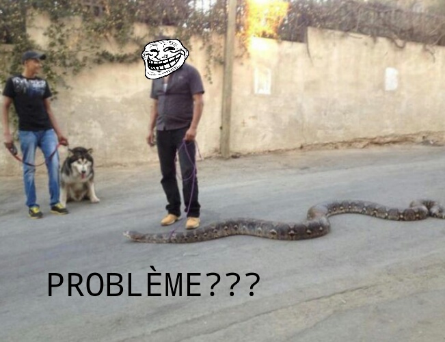 problème chien? - Meme by dalilou :) Memedroid