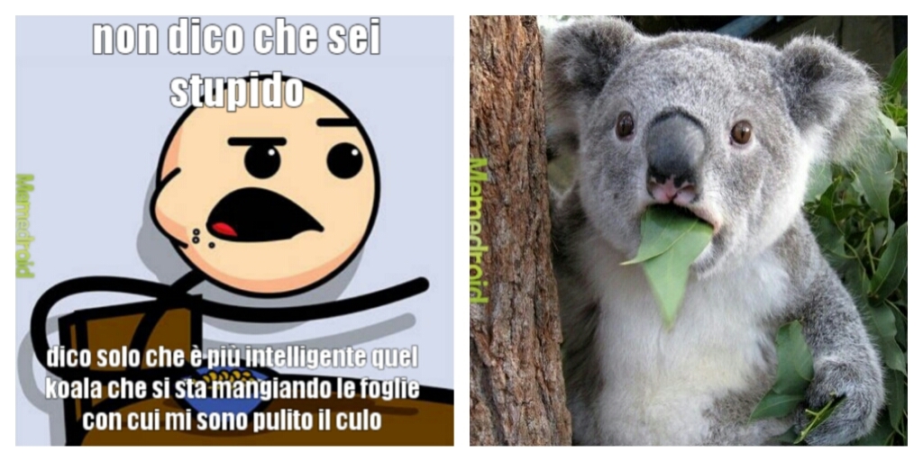 ma che... - Meme subido por danimada66 :) Memedroid