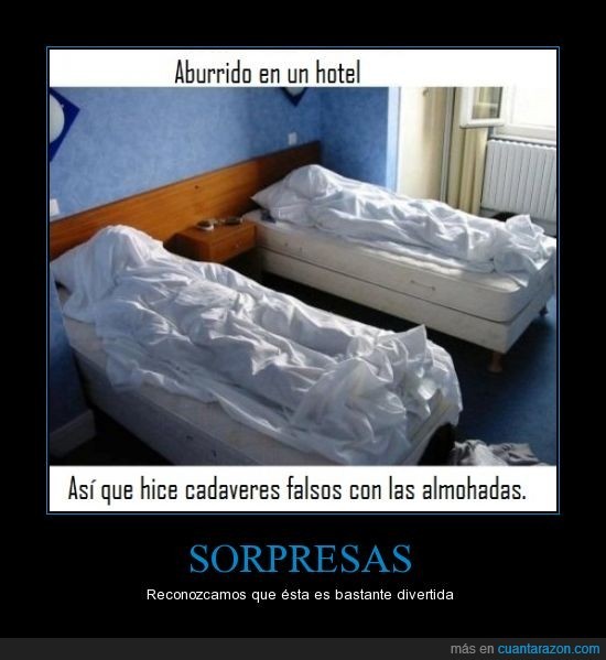 si lees el título eres un pringado - Meme subido por elpetador :) Memedroid