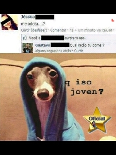 q iso - Meme subido por MaverickHunterX :) Memedroid