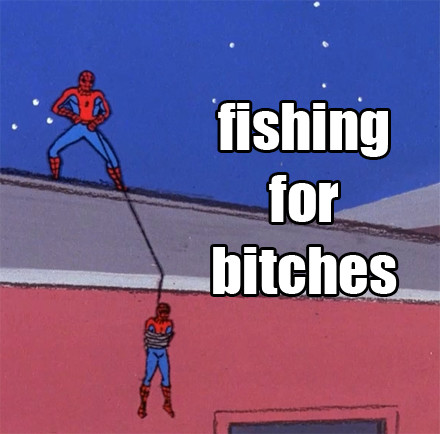 Nice Lure Spidy. - Meme by S.B.K :) Memedroid