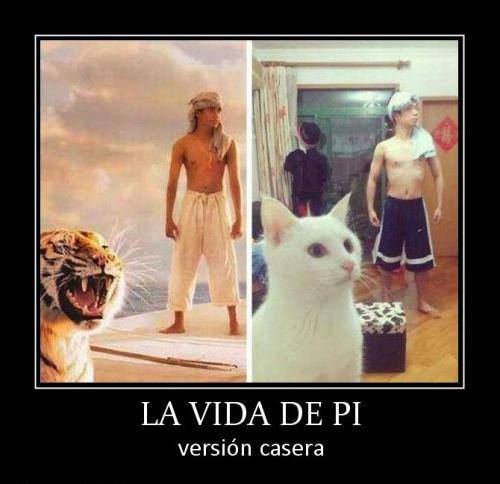 life of pi - Meme subido por leoveraced92 :) Memedroid