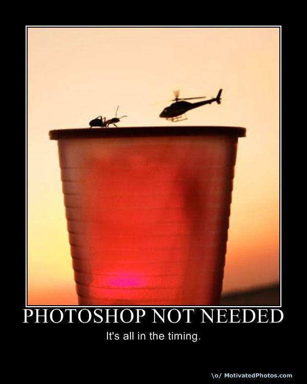 Perfect timing - Meme by RyanRabbit :) Memedroid