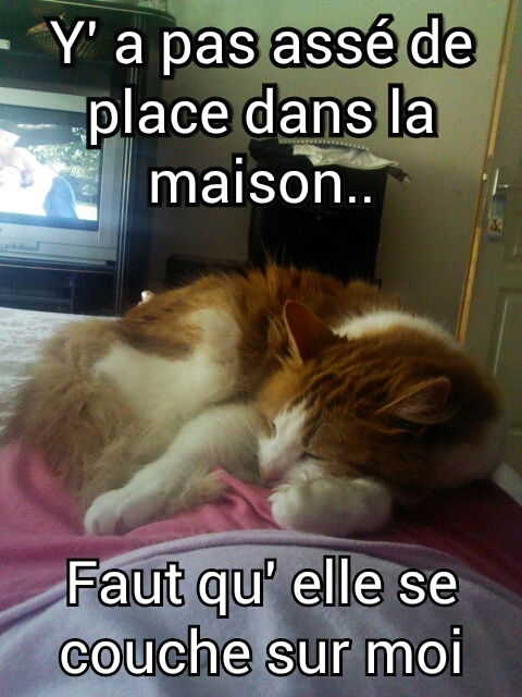 Apres t oses pas bouger - Meme by marie.deniaud.cordas :) Memedroid
