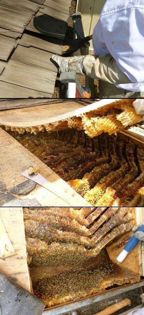 Hay que revisar el techo decian... - Meme by 37xavihey :) Memedroid