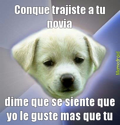 soy mas tierno que tu - Meme subido por letitrip321 :) Memedroid