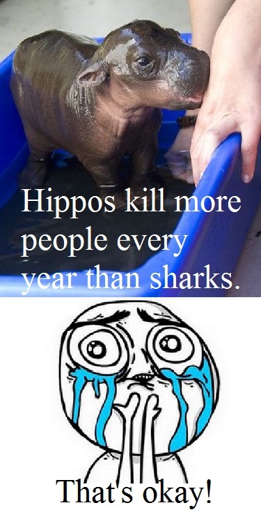 cute hippo - Meme subido por iamironman789 :) Memedroid