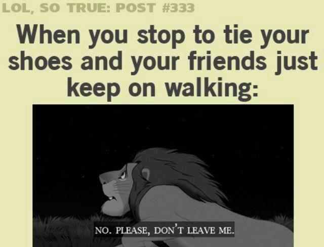 simba - Meme by a.rolea312 :) Memedroid