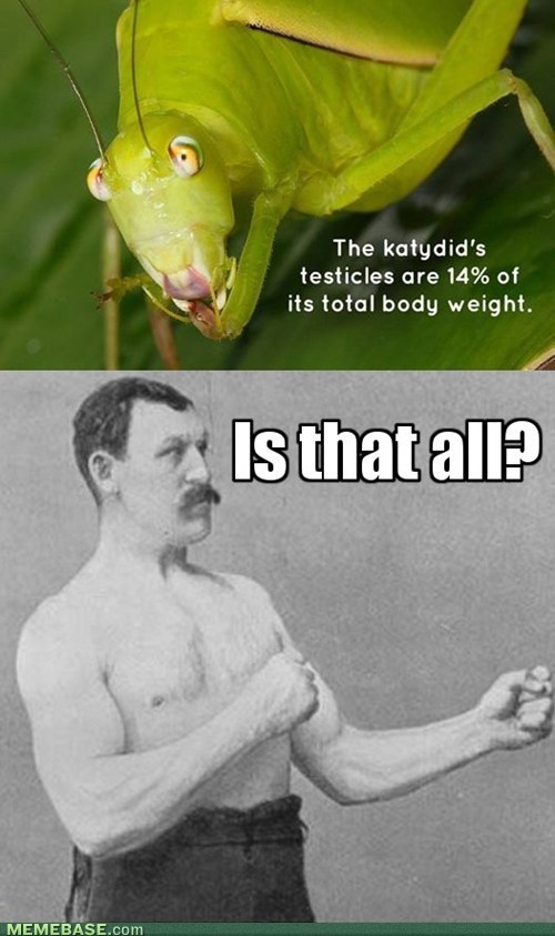 huehuehue - Meme by clayton.frye01 :) Memedroid