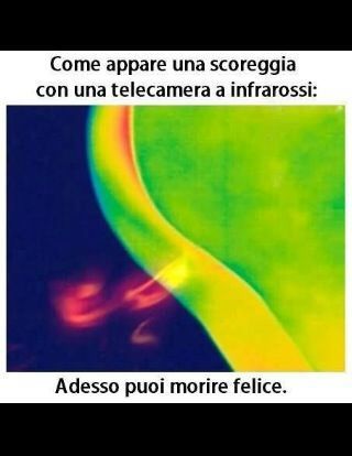 morirò felice - Meme by bus :) Memedroid