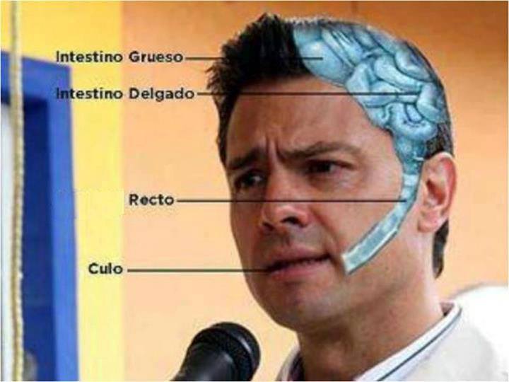 Asi es como funciona!!! - Meme subido por johanabhernandez :) Memedroid