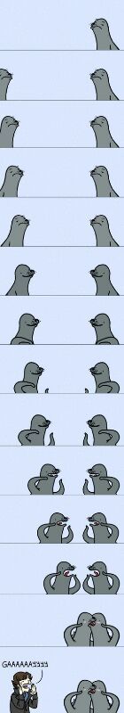 Gaaaay - Meme by holaimanol :) Memedroid