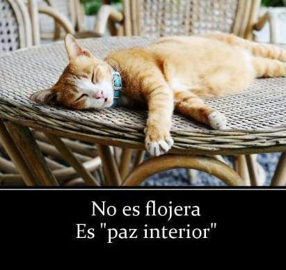 paz interior - Meme by tierna. :) Memedroid