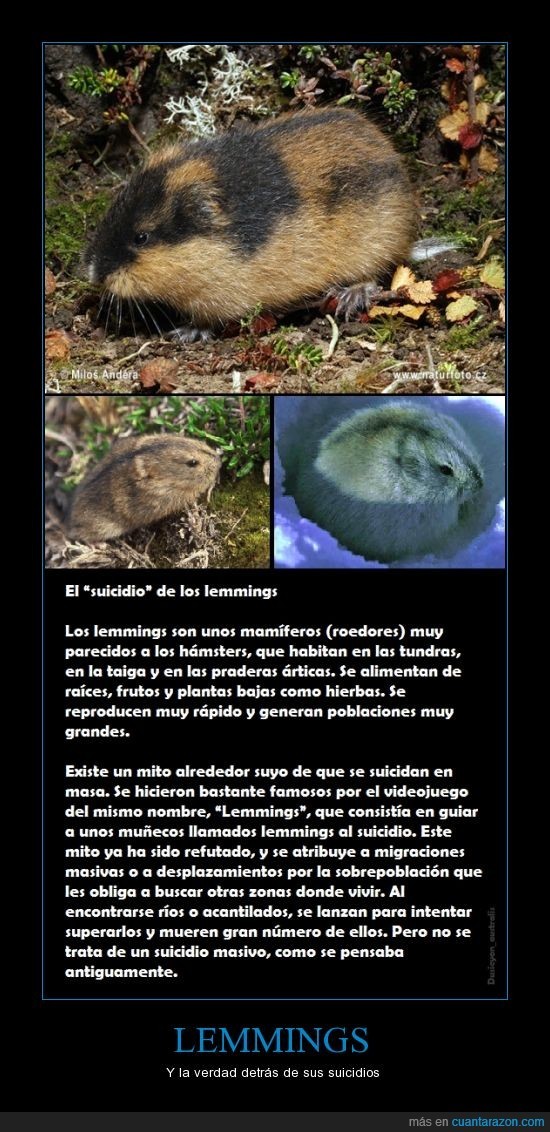 lemmings - Meme subido por unaai2001 :) Memedroid