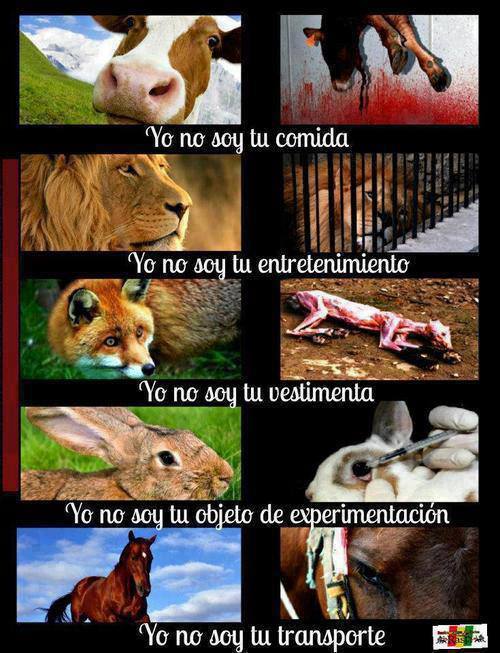 puto oscardhutado99 - Meme by danyjosue80 :) Memedroid