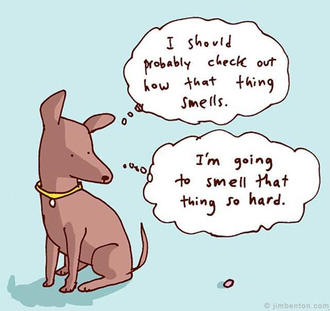 Dog logic - Meme by ciscoriko :) Memedroid