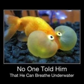 Fishes Need Air - Meme by BLUBxBLUB :) Memedroid
