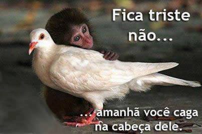 quase - Meme by gpires340 :) Memedroid