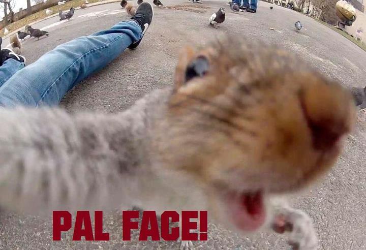 pal face - Meme subido por miguelcisneros270194 :) Memedroid