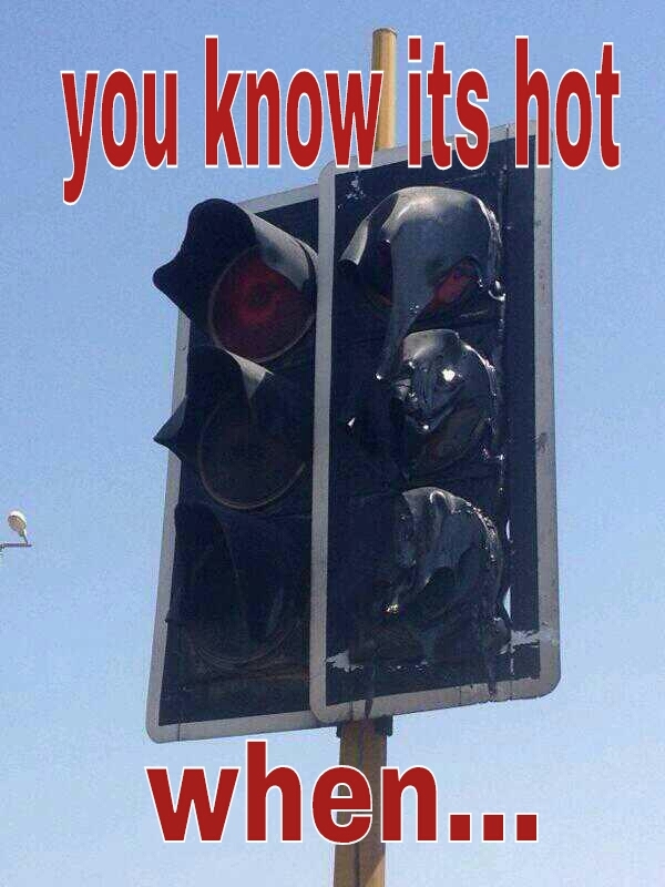 aloe vera - Meme by northwest :) Memedroid