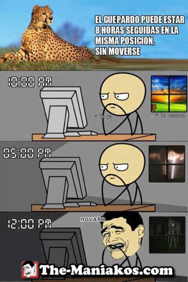 Nobato - Meme subido por Suricata :) Memedroid