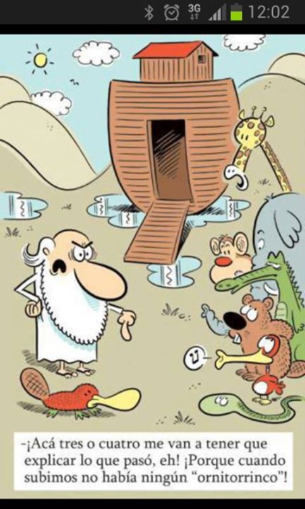 Arca de noe - Meme subido por chuchinchapiz :) Memedroid