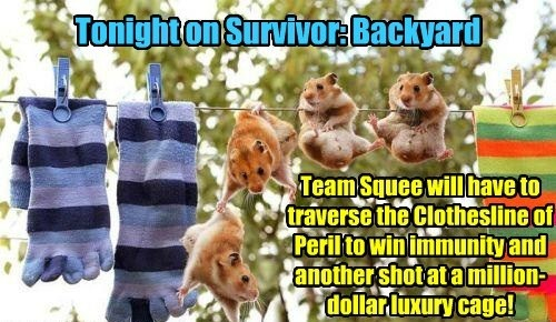 Favorite animal? - Meme by XxZedoyaxX :) Memedroid