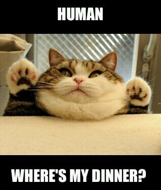 Ya mon - Meme by aeyoul :) Memedroid