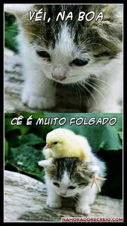 folgado - Meme by rodrigotalman :) Memedroid