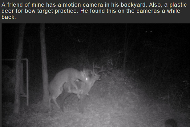 well this is awkward.. - Meme by bigbeel :) Memedroid