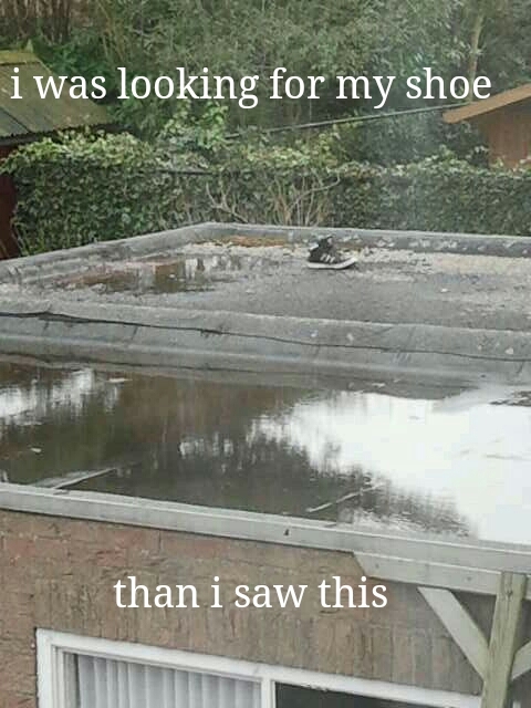 lost my shoes - Meme subido por ilauwereijs :) Memedroid