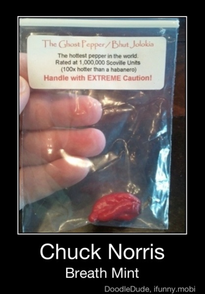 Breath mint - Meme subido por dynoplaysminecraft :) Memedroid