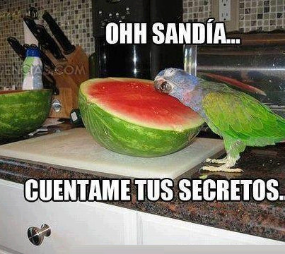 oh sandía - Meme by fozforo :) Memedroid