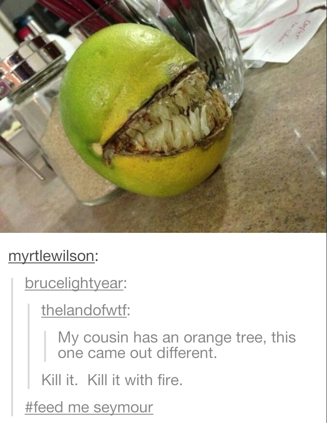 Feed meeee - Meme by feilcabinet :) Memedroid