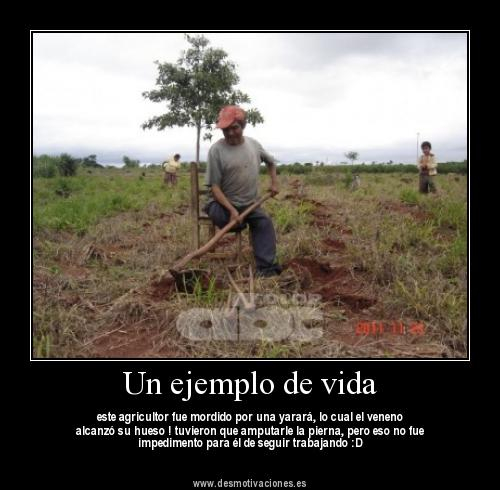 Meme subido por Sad_Statue :) Memedroid