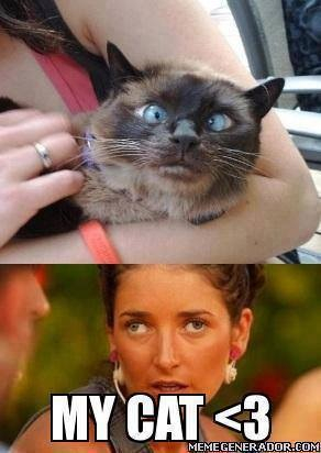 Yes your cat haha - Meme by alexandra bau :) Memedroid