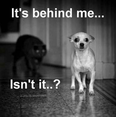 something's behind you - Meme subido por KoenigVonSchloss :) Memedroid