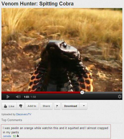 coBRA - Meme by s-Deezy69 :) Memedroid