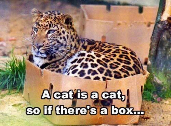 If it fits.... - Meme by kenneth158 :) Memedroid