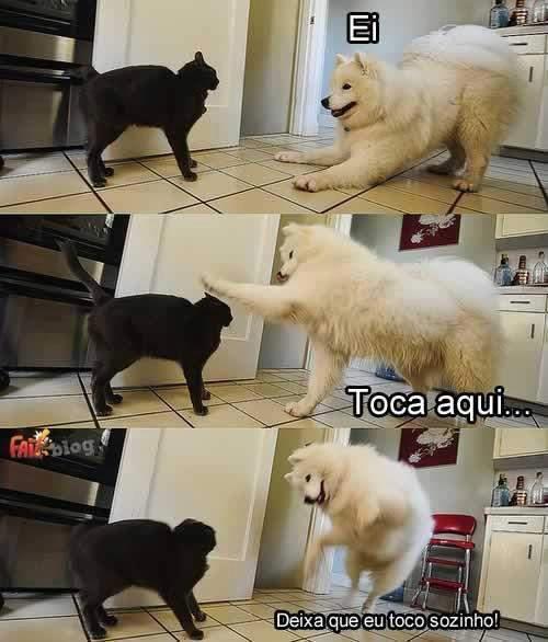 fgf fggff - Meme by m4n0kb4rque :) Memedroid