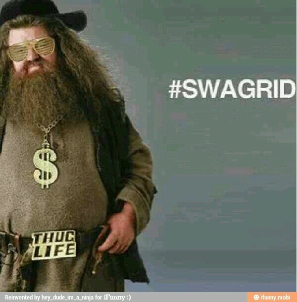 sag. - Meme by alexanderbrunner31 :) Memedroid