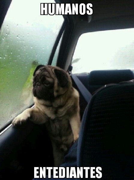 aff - Meme by Mr.PoP :) Memedroid