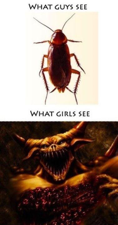 Cockroaches - Meme subido por Reereh :) Memedroid