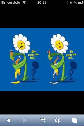 Flor - Meme by valentinaandrea126 :) Memedroid