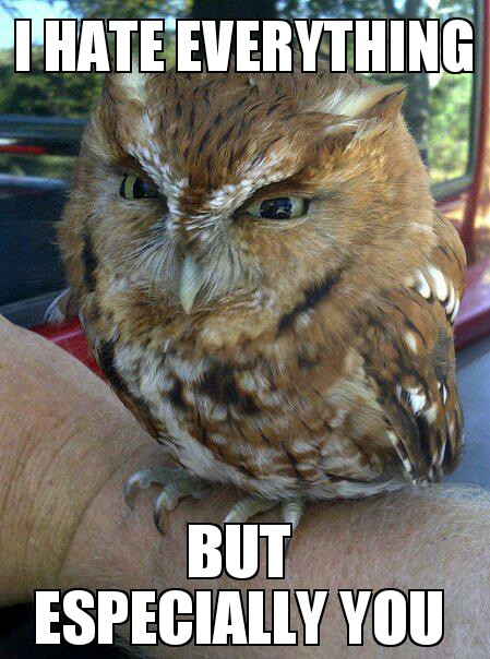 Especially You - Meme by Jewboyinks :) Memedroid