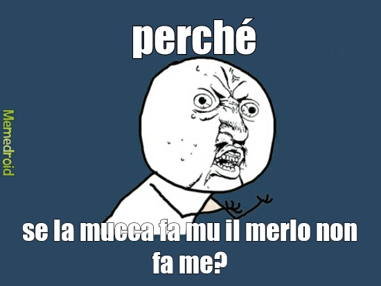 mucca mu merlo no me - Meme by theshadow99 :) Memedroid
